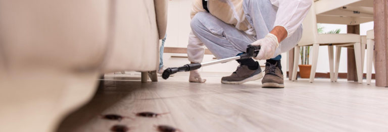 La prévention et la lutte contre les nuisibles